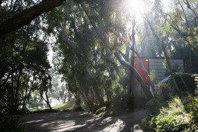 The Eames House – Jonathan Biddle – Made in Taiwan